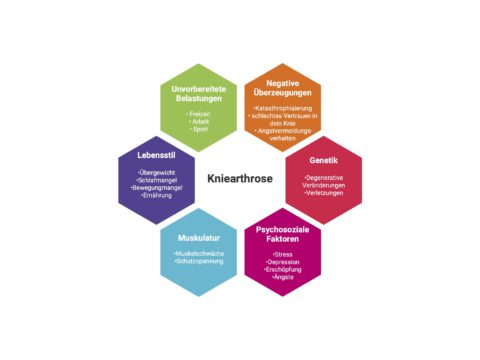 So verstehst Du Arthrose: Ursachen, Symptome und Diagnose | Florian ...