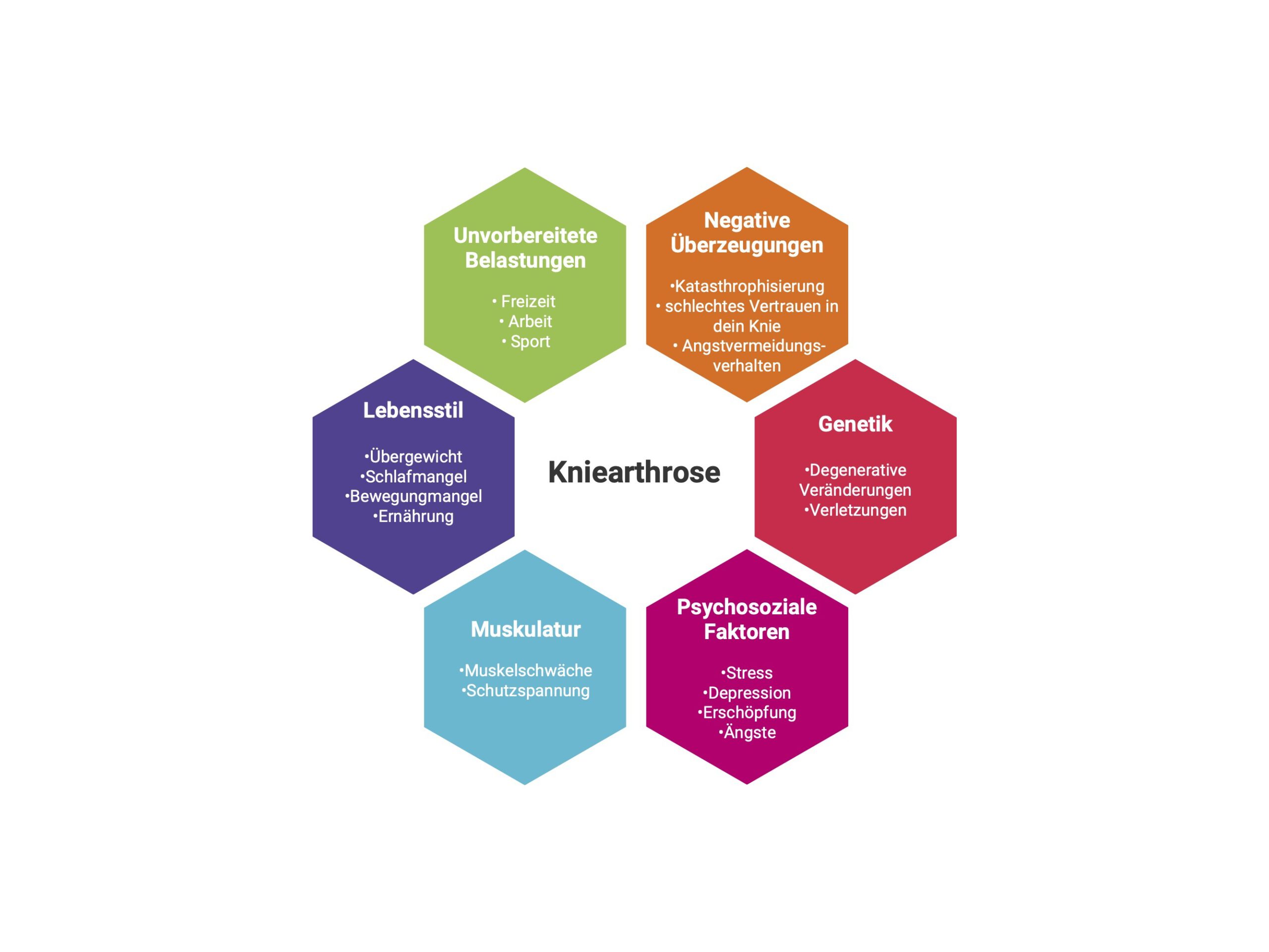So verstehst Du Arthrose: Ursachen, Symptome und Diagnose | Florian ...